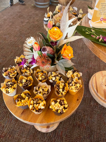 Busch Gardens Tampa Bay opens Giraffe Bar to public – Carlos Eats