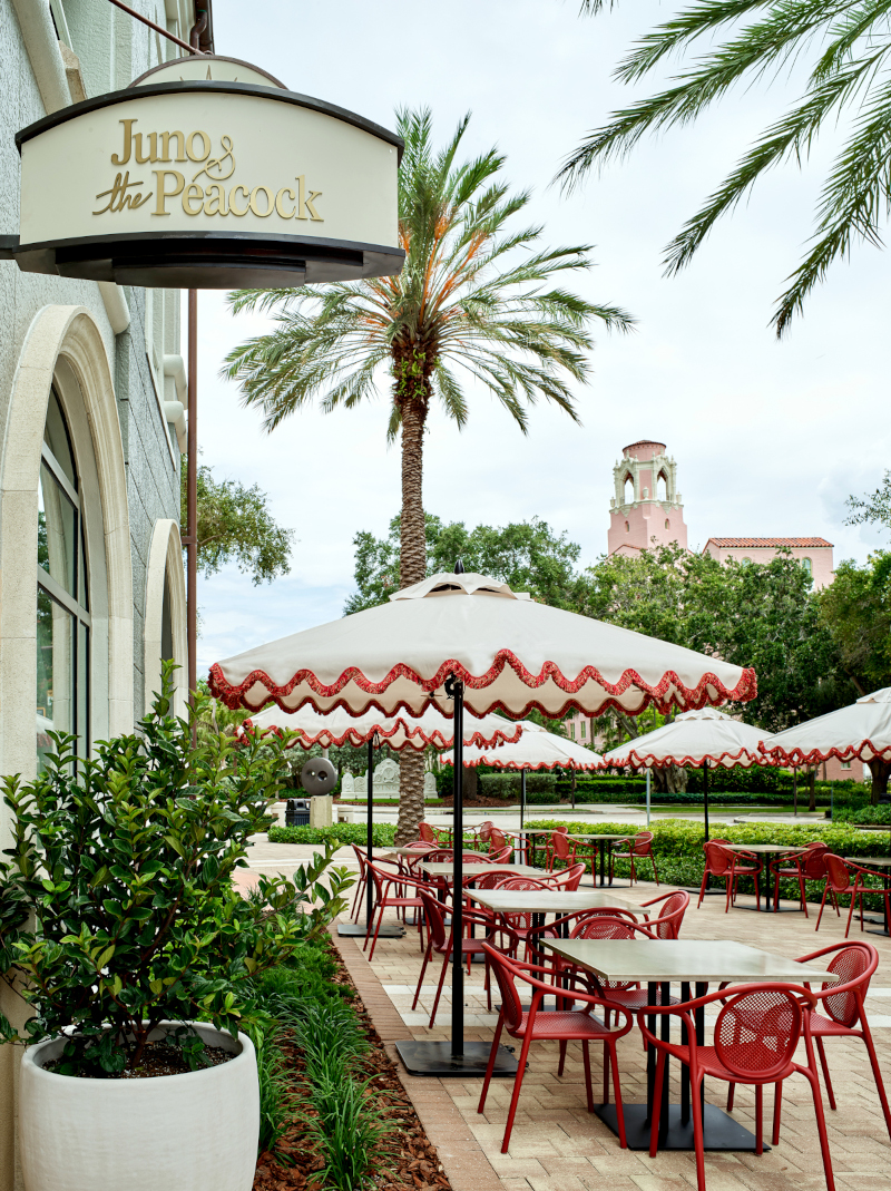 Juno & the Peacock and Pluma hitting St. Pete on Aug. 23 featuring chef ...